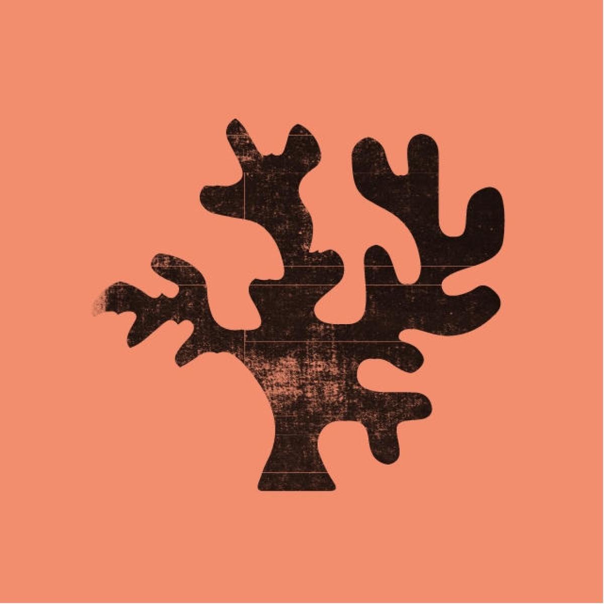 Balade en mer et grottes marines | Office de Tourisme de Bonifacio ...