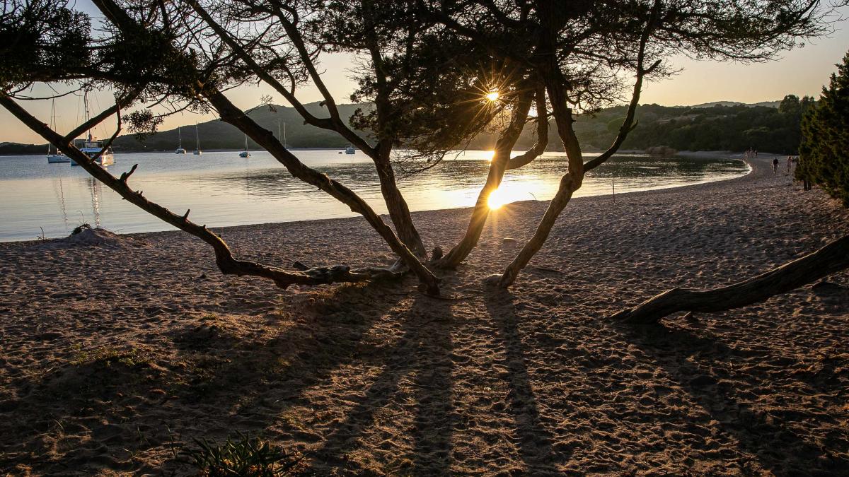 Rondinara Beach | Tourist Office of Bonifacio, South Corsica and its ...